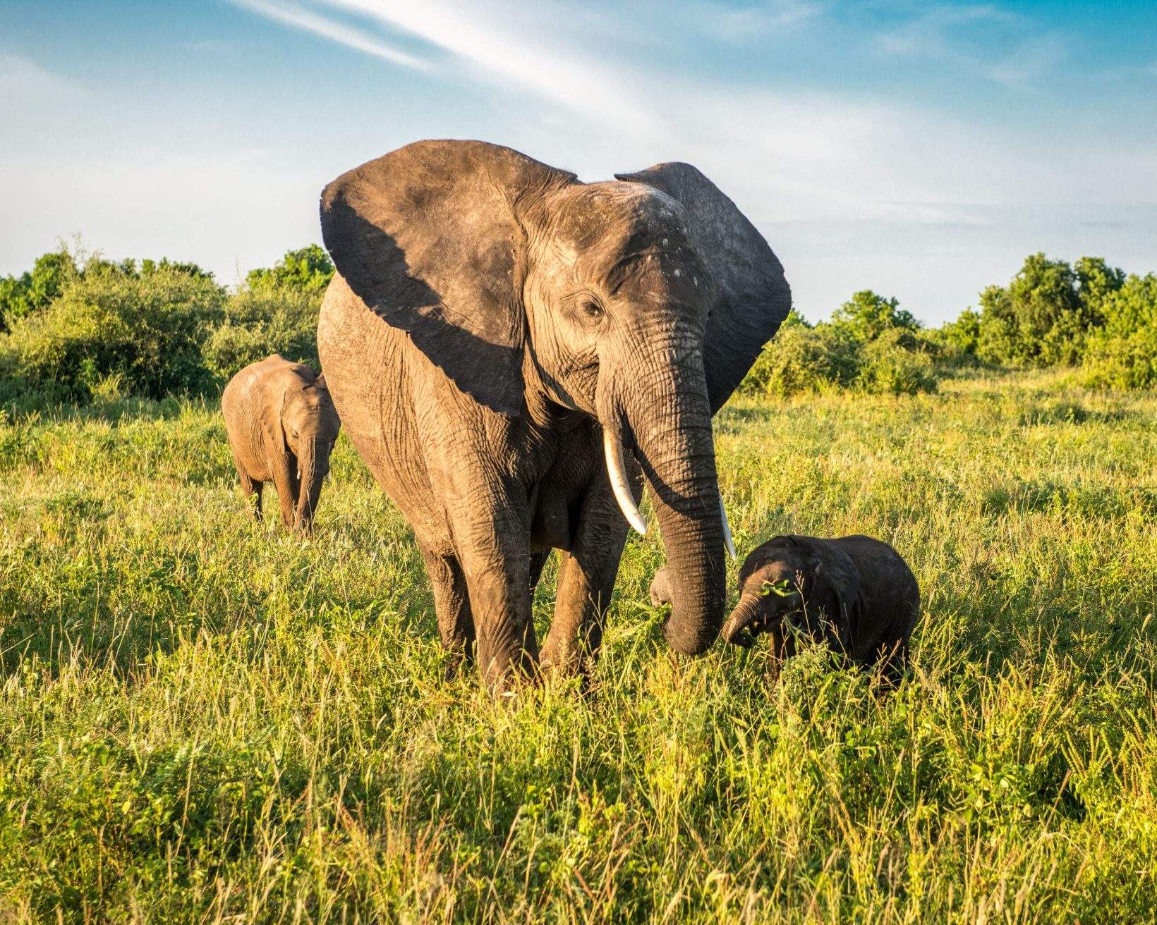 15 Best summer holiday destinations for 2024 | KAYAK