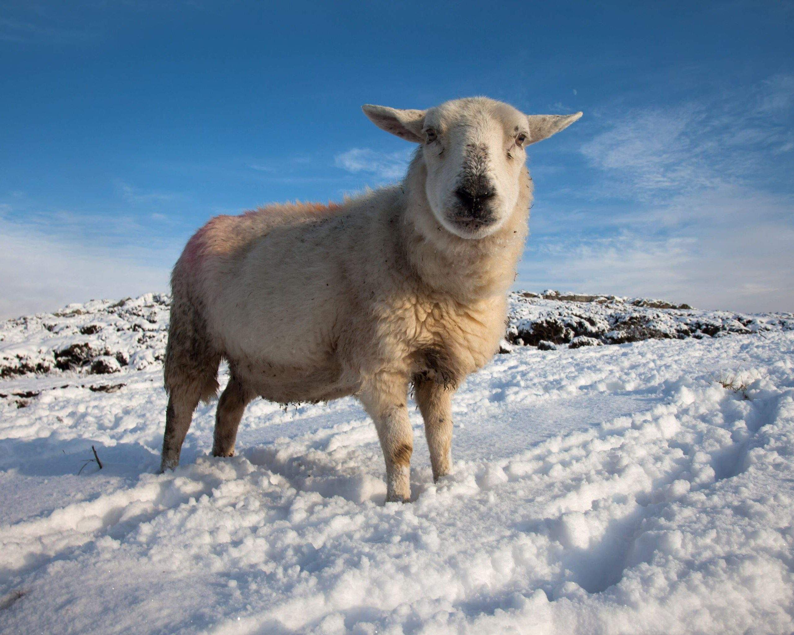 Magical Christmas breaks in the UK: 12 places to stay | KAYAK