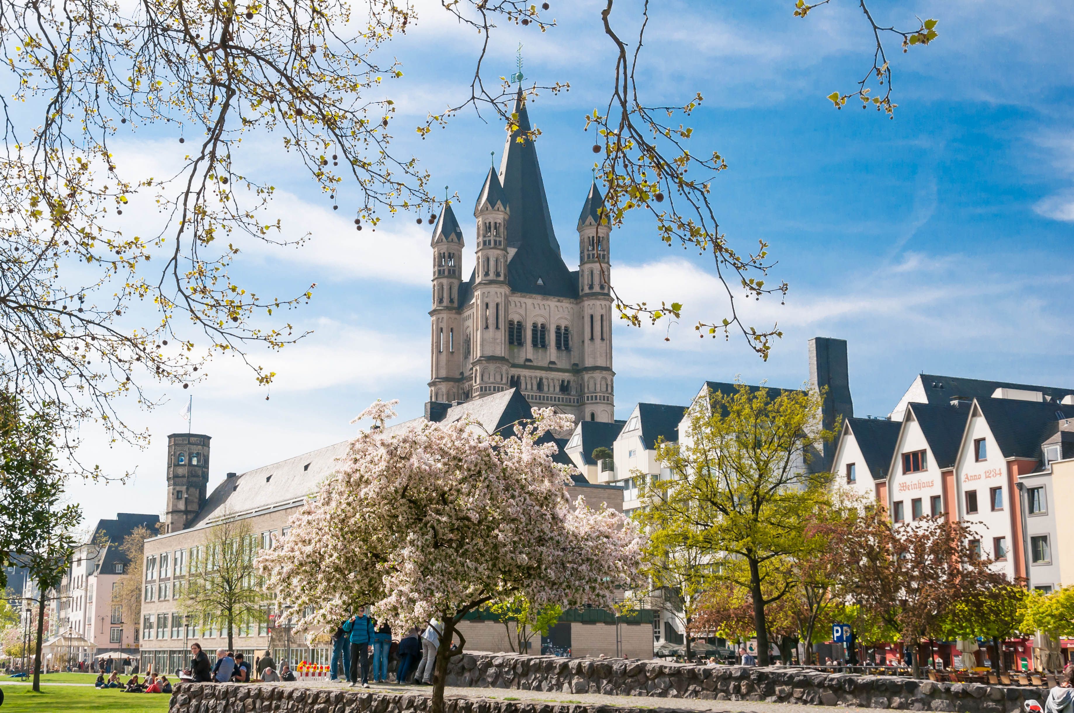 £29 Cheap Flights to Cologne - KAYAK
